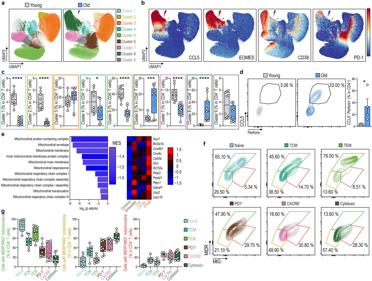 Cd4 Cre Mice | Jackson Laboratory | Bioz