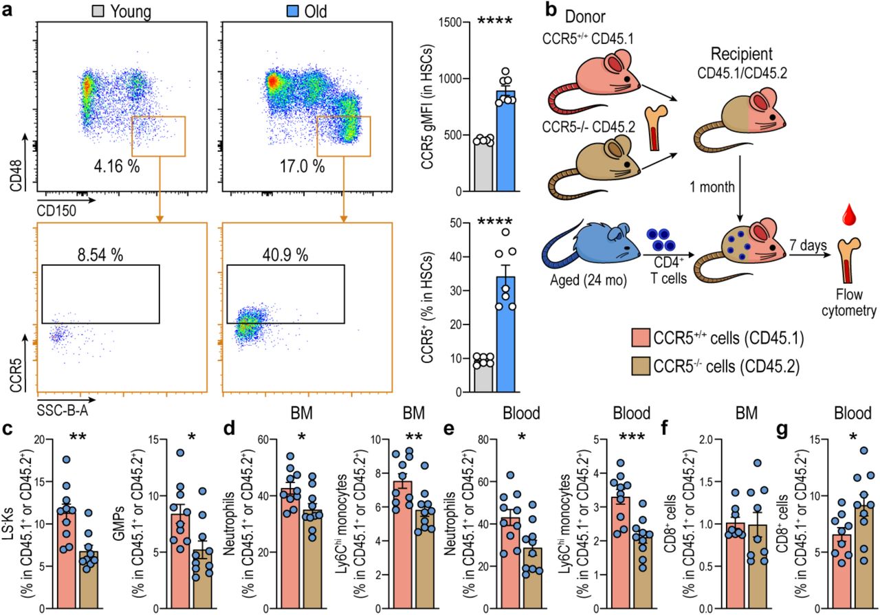 Cd4 Cre Mice | Jackson Laboratory | Bioz