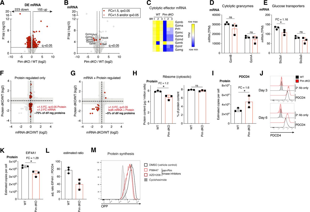Human Recombinant Il 2 | Novartis | Bioz