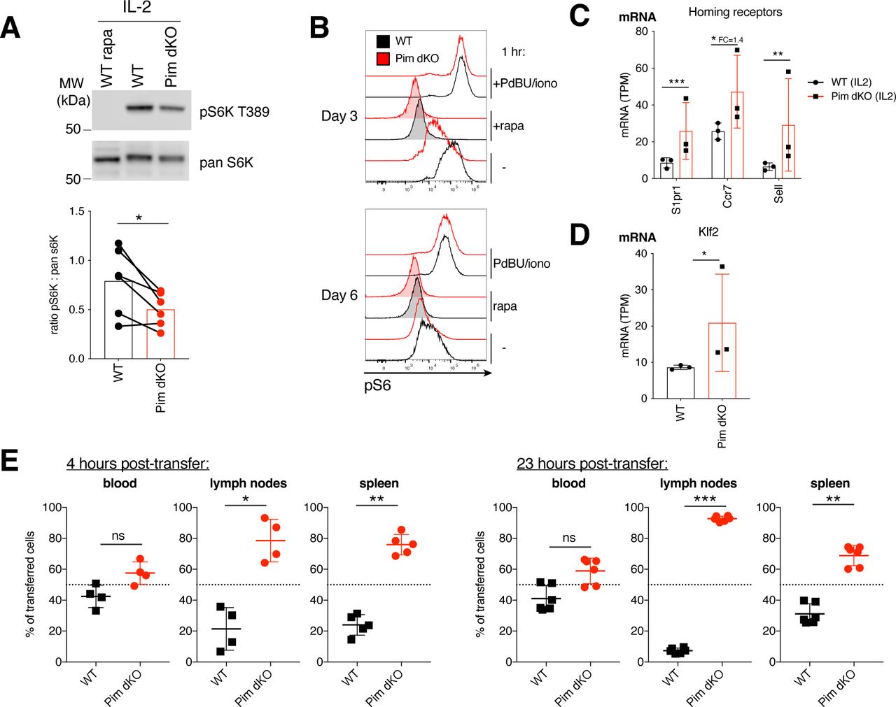 Human Recombinant Il 2 | Novartis | Bioz