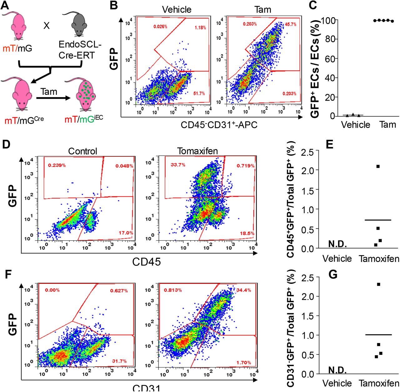 Endoscl Cre Ert2 Mtmg Lineage Tracing Mice | Jackson Laboratory | Bioz