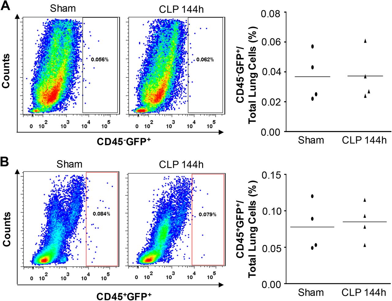 Endoscl Cre Ert2 Mtmg Lineage Tracing Mice | Jackson Laboratory | Bioz