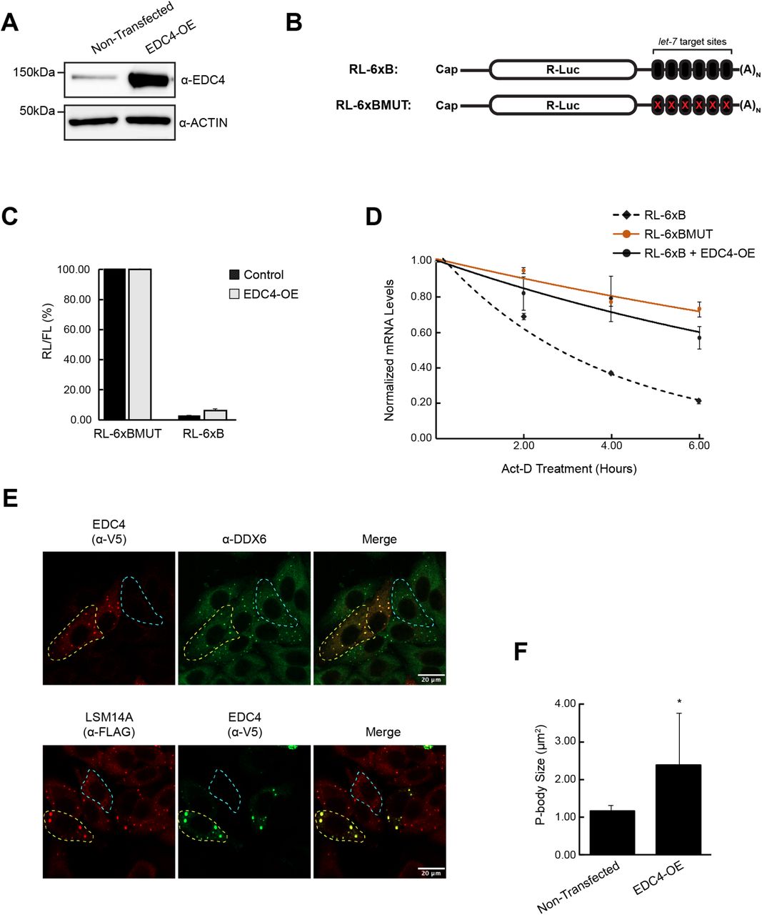 Grnas Targeting Lsm14a | Addgene inc | Bioz