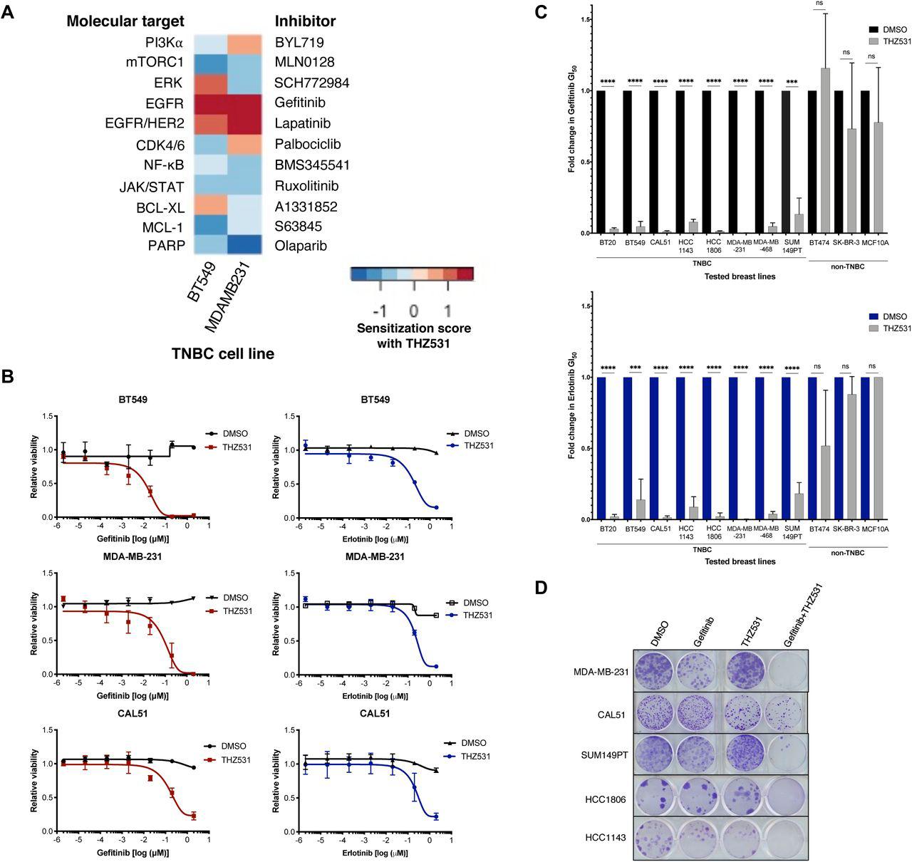 Sum149pt Cell Lines | ATCC | Bioz
