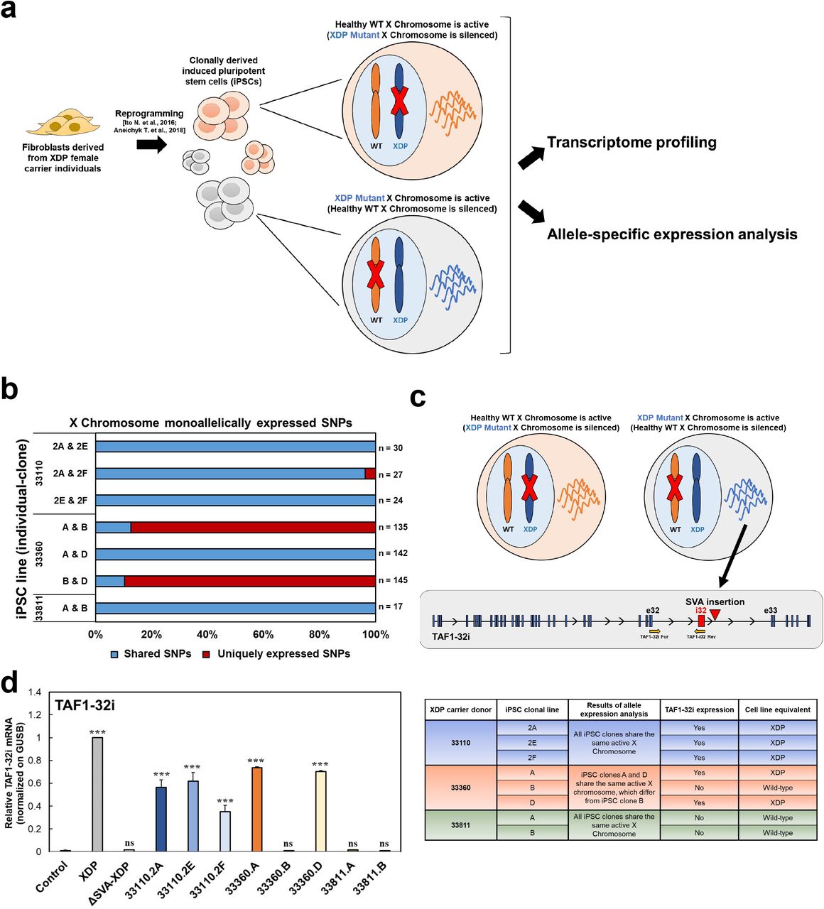 Custom Taqman Primer Probes | Thermo Fisher | Bioz