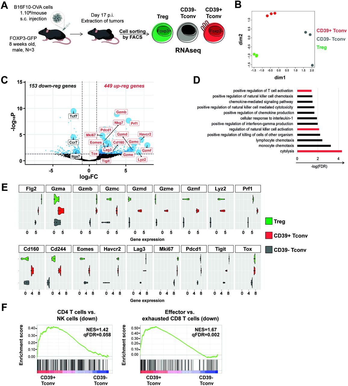B16f10 Ova Cell Line | ATCC | Bioz