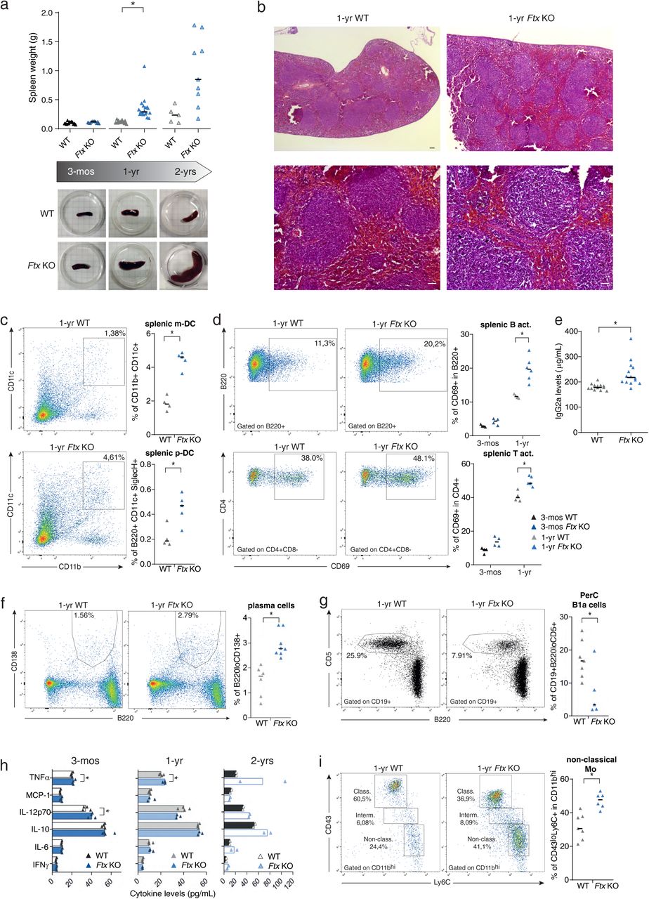 Cd11b Antibody | Miltenyi Biotec | Bioz