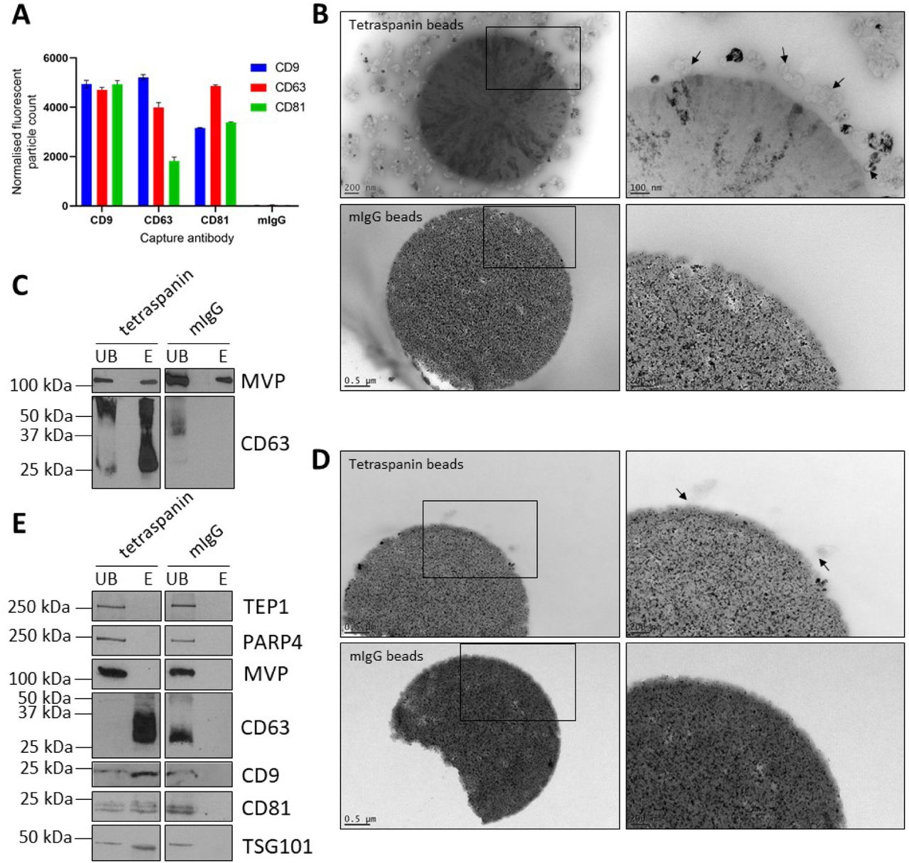 Exoview R100 Imaging Platform | NanoView Biosciences | Bioz
