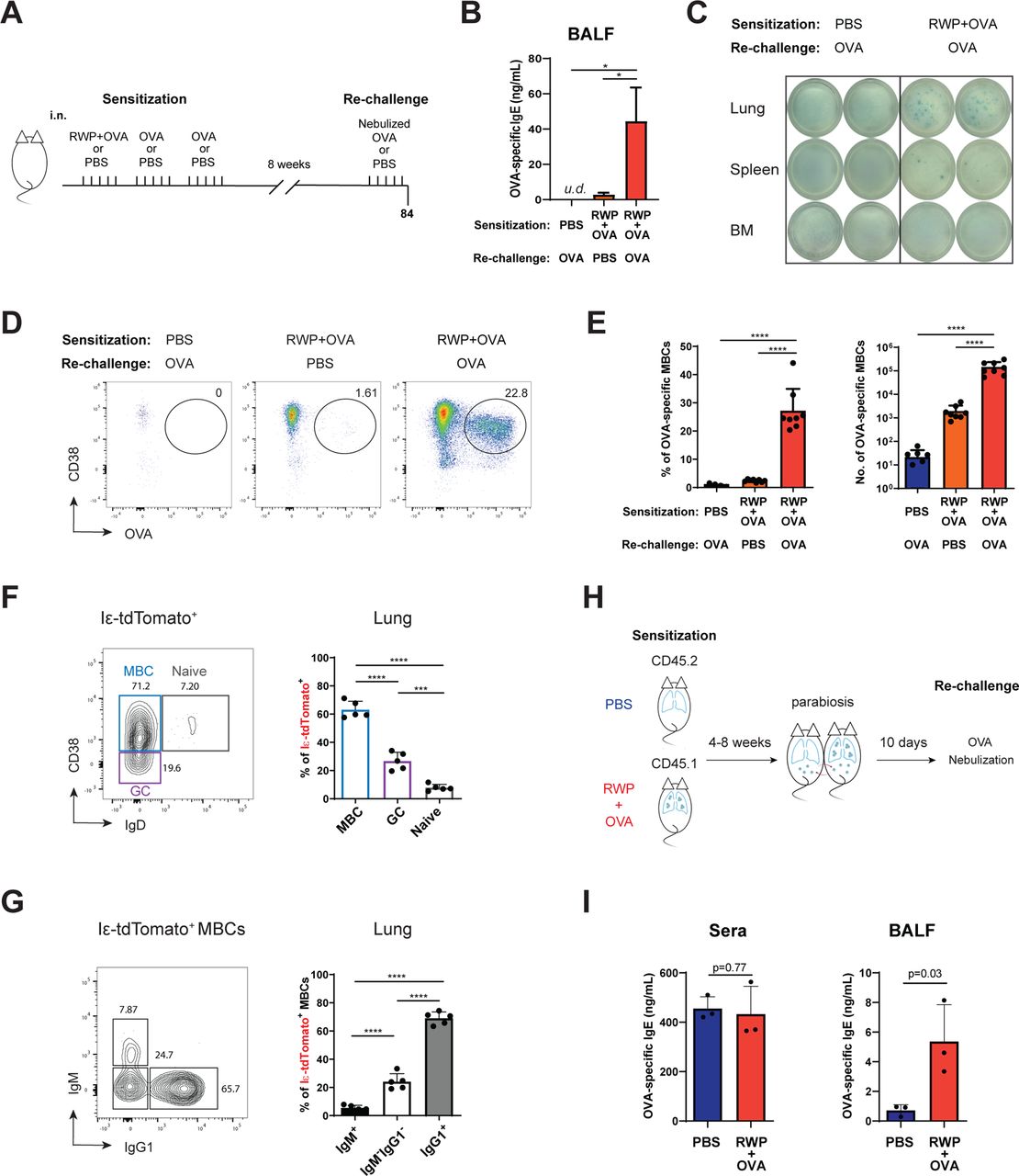 Balb Cbyj Cd45 1 Congenic Mice Cbyj Sjl B6 Ptprca J | Jackson Laboratory | Bioz