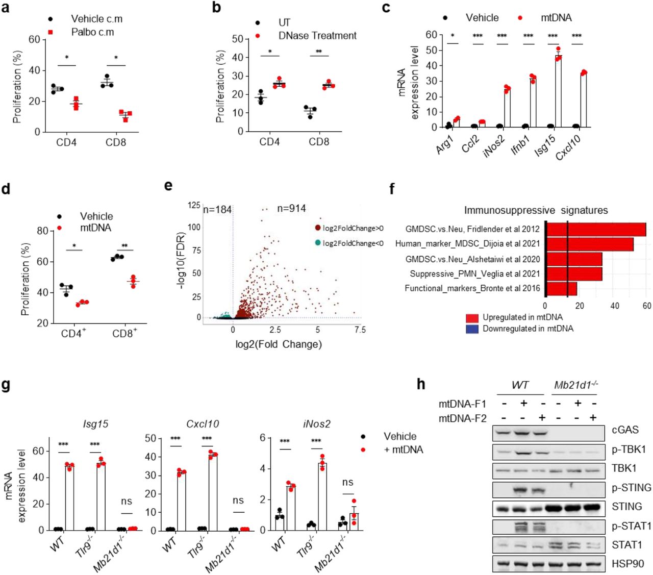 Jetprime Reagent | Polyplus-transfection SA | Bioz