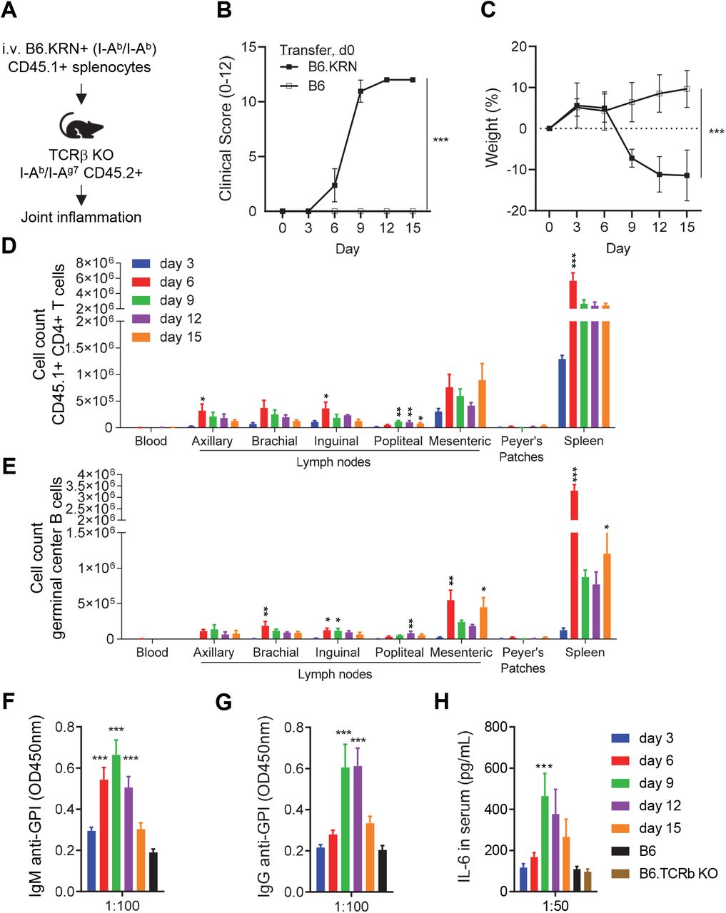 Cd4 Cre Mice | Jackson Laboratory | Bioz