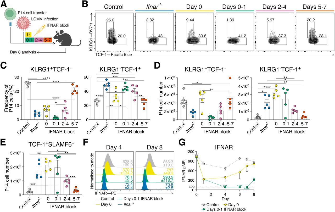 Flow Cytometry Analysis | Becton Dickinson | Bioz
