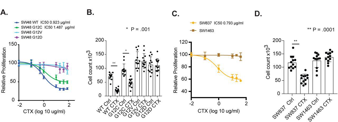 Sw1463 Cells | ATCC | Bioz