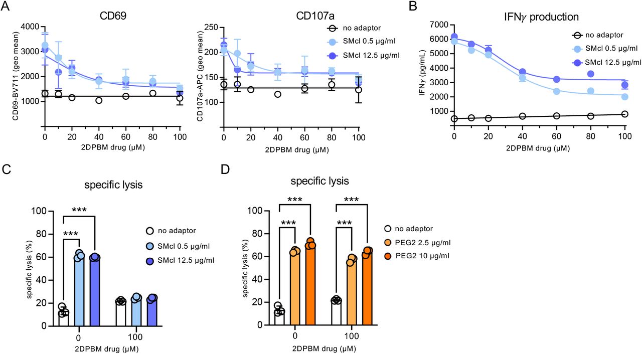 Human Tumor Cell Lines K562 Cd20 | ATCC | Bioz