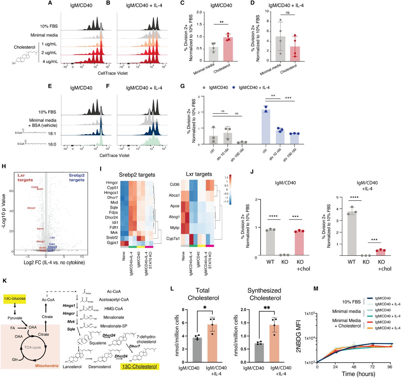 Mouse Recombinant Il 4 | PeproTech | Bioz