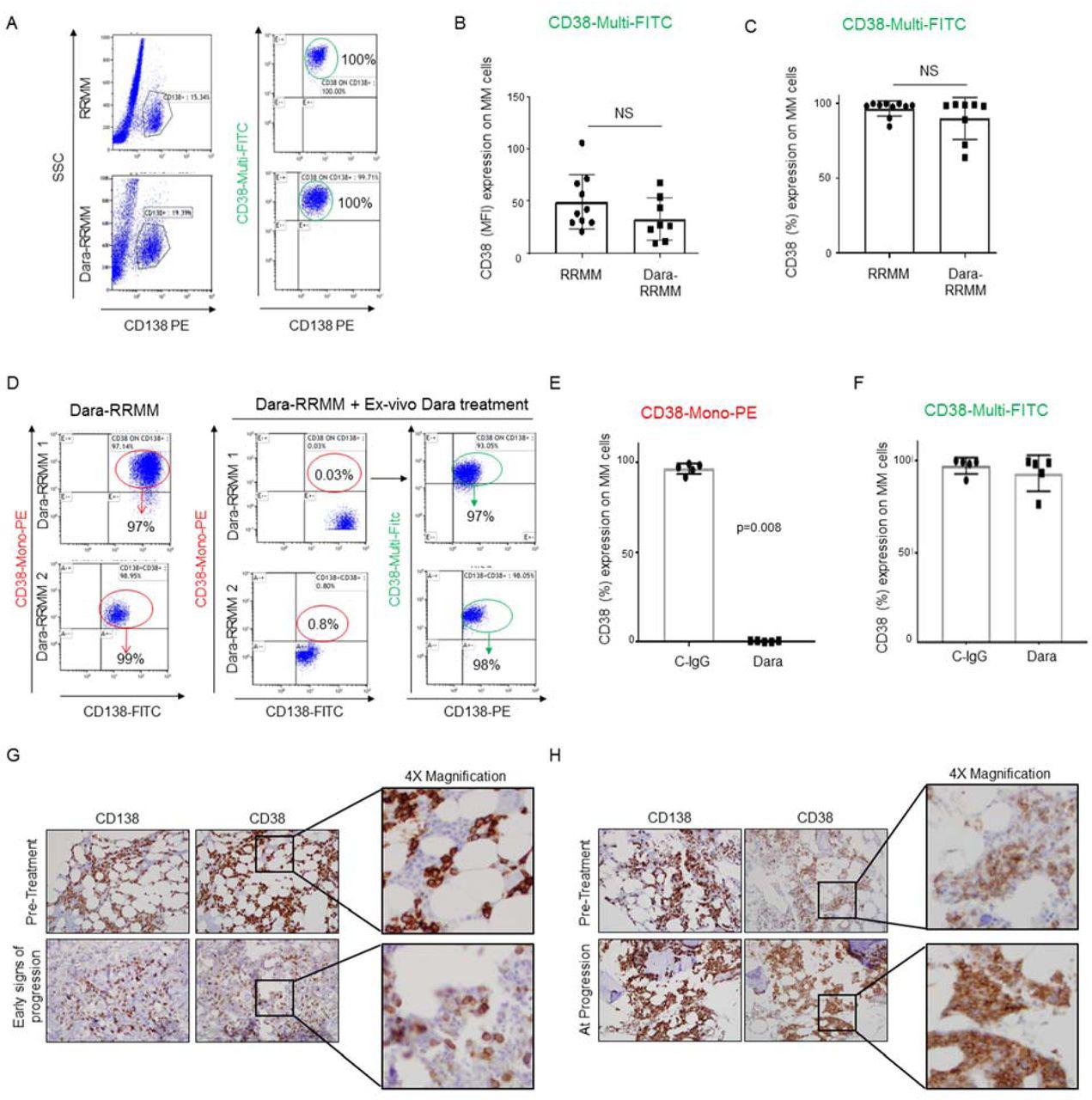 Anti Cd138 Antibody Coated Magnetic Beads | Miltenyi Biotec | Bioz