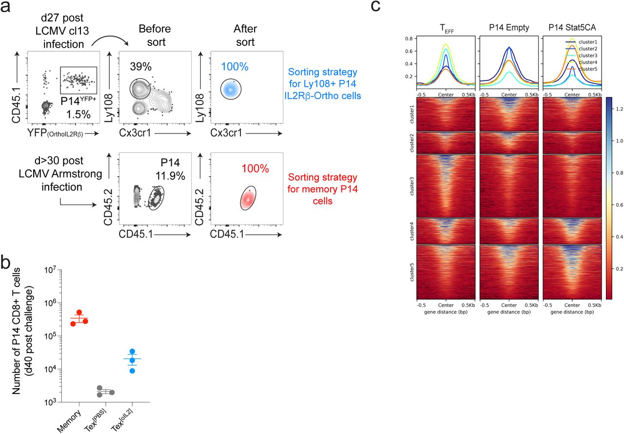 P14 Mice | The Jackson Laboratory | Bioz