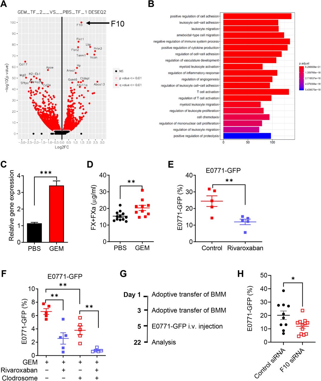 Macrophage F10 Gene Knockdown | Thermo Fisher | Bioz