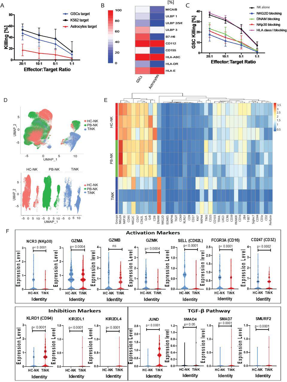 Human Astrocyte Cell Line Svg P12 | ATCC | Bioz