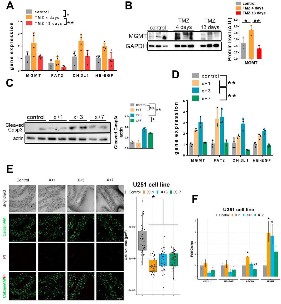 Human Gbm Cell Lines U251 | Atcc | Bioz