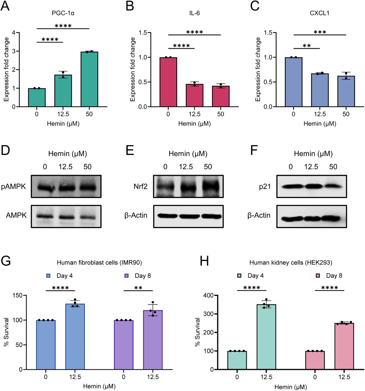 Human Kidney Embryonic Hek293 Cell Line | ATCC | Bioz
