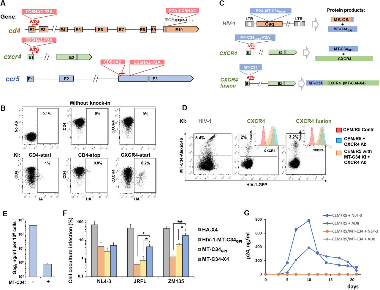 Burkitt S B Lymphoma Cell Line Raji | ATCC | Bioz
