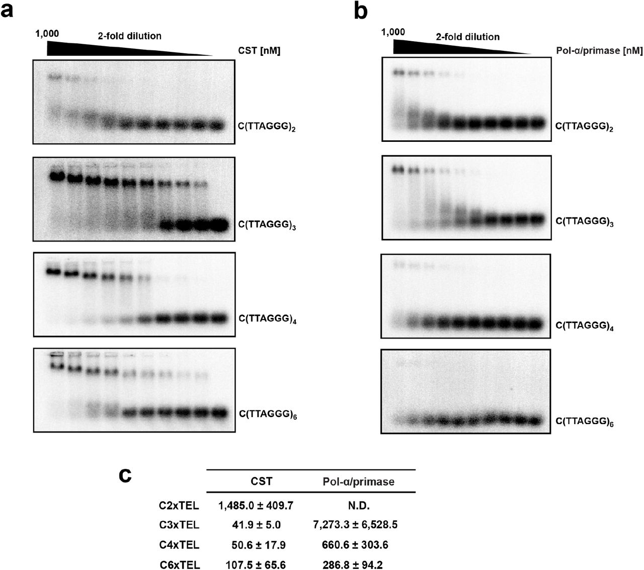 Ssdna Template | Thermo Fisher | Bioz