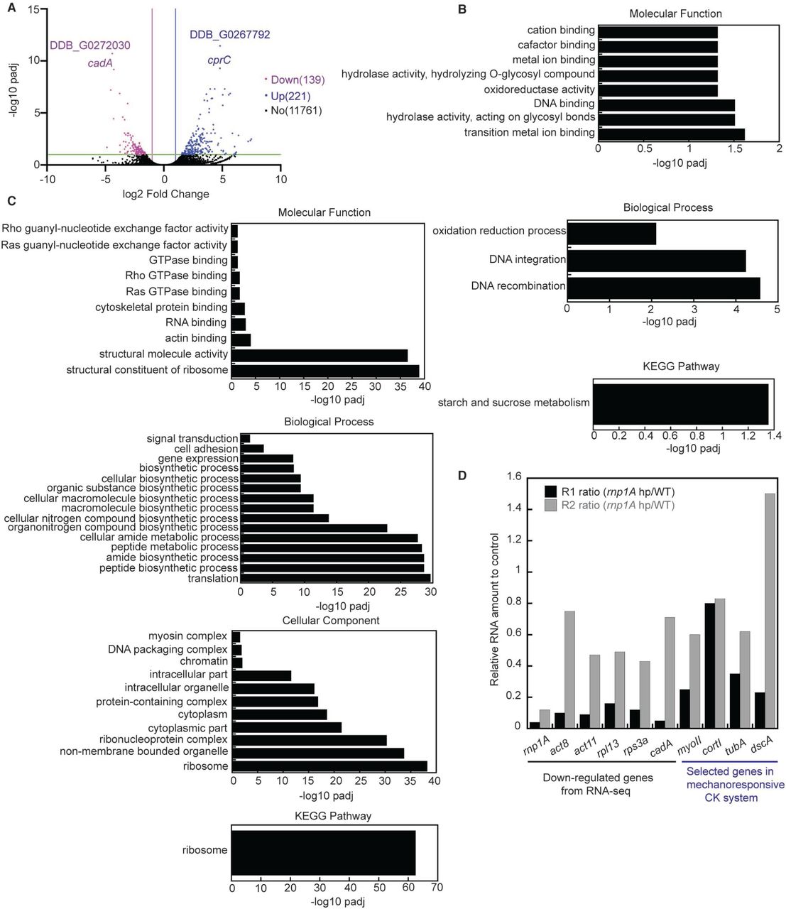 Ovation Rna Seq System V2 Kit | Tecan Systems | Bioz