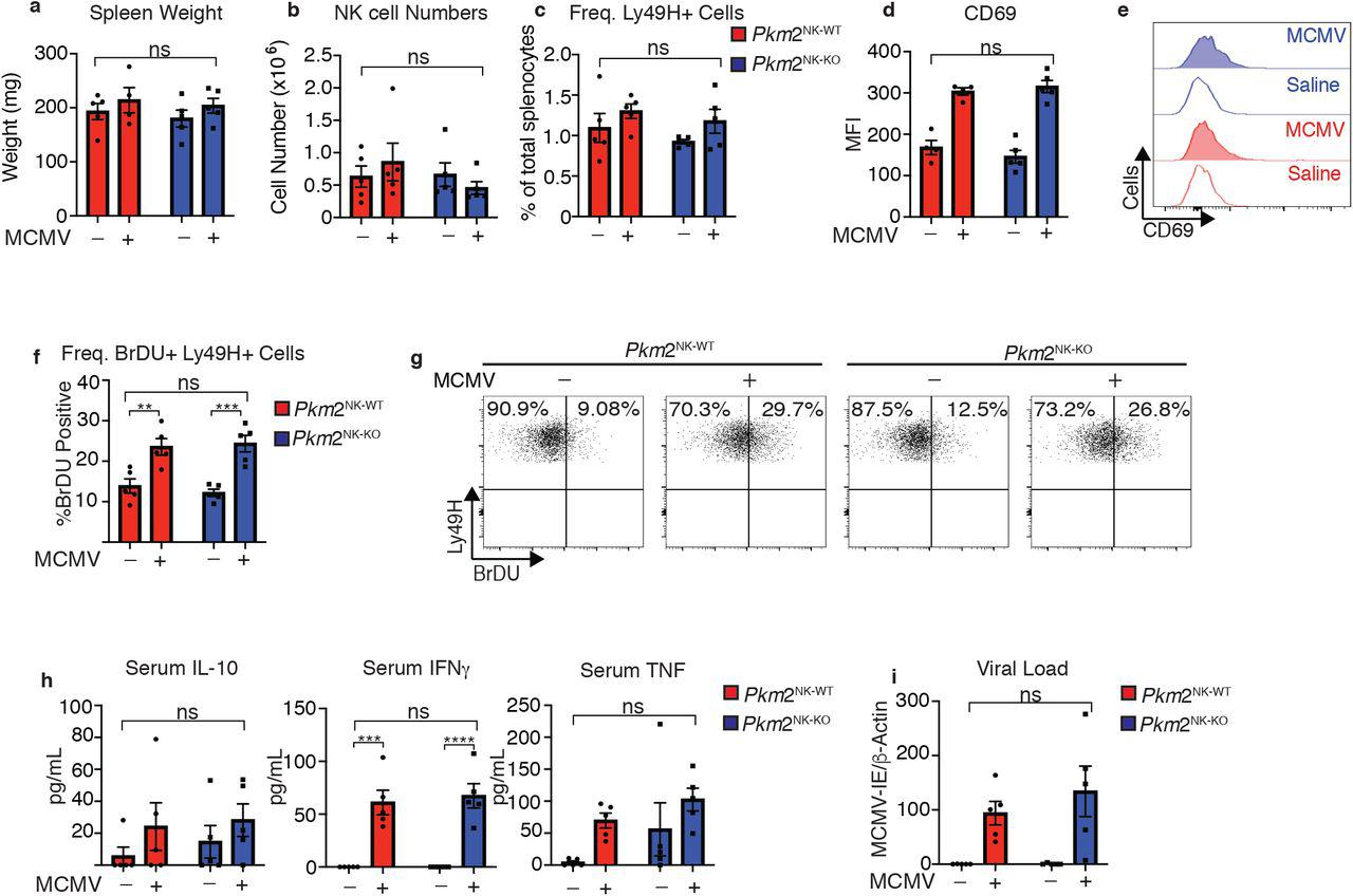 H2 Dcfda Flow Cytometric Dye | Thermo Fisher | Bioz