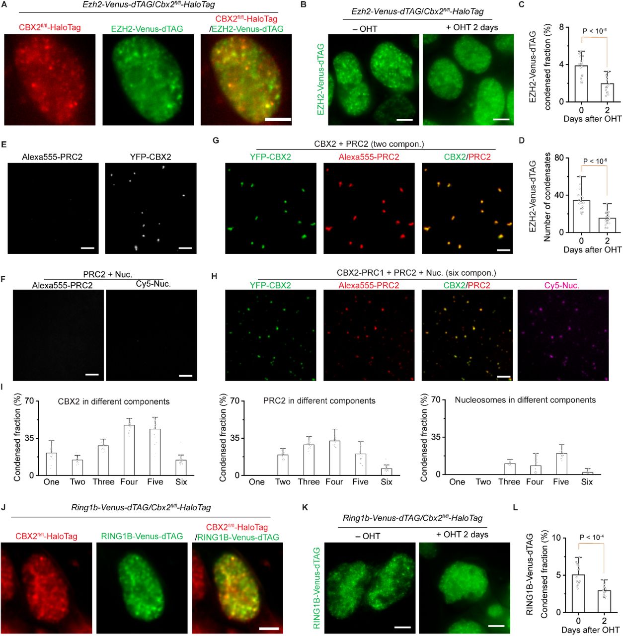 Ezh2 | Millipore | Bioz