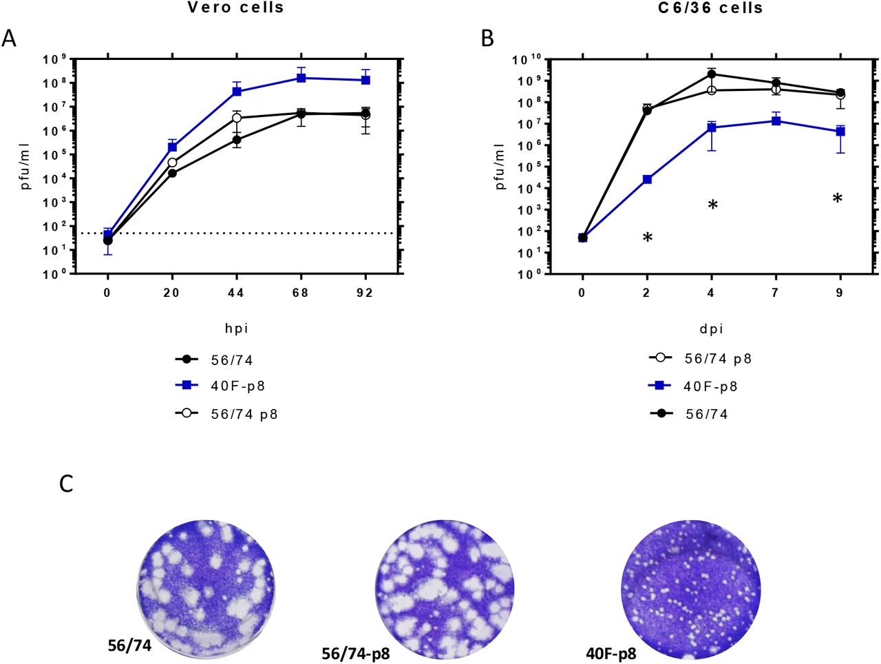C6 36 Mosquito Larvae Derived Cell Line | ATCC | Bioz