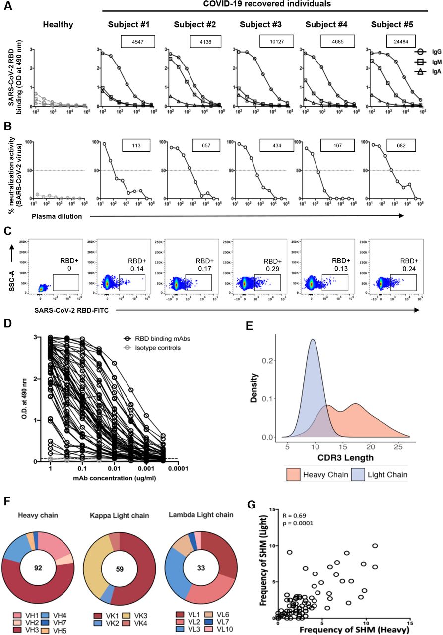 Sars Cov 2 Spike Protein Variants | Meso Scale Diagnostics LLC | Bioz