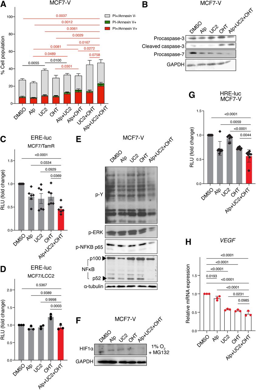 Renilla Luciferase Control Plasmid Prl Cmv | Promega | Bioz