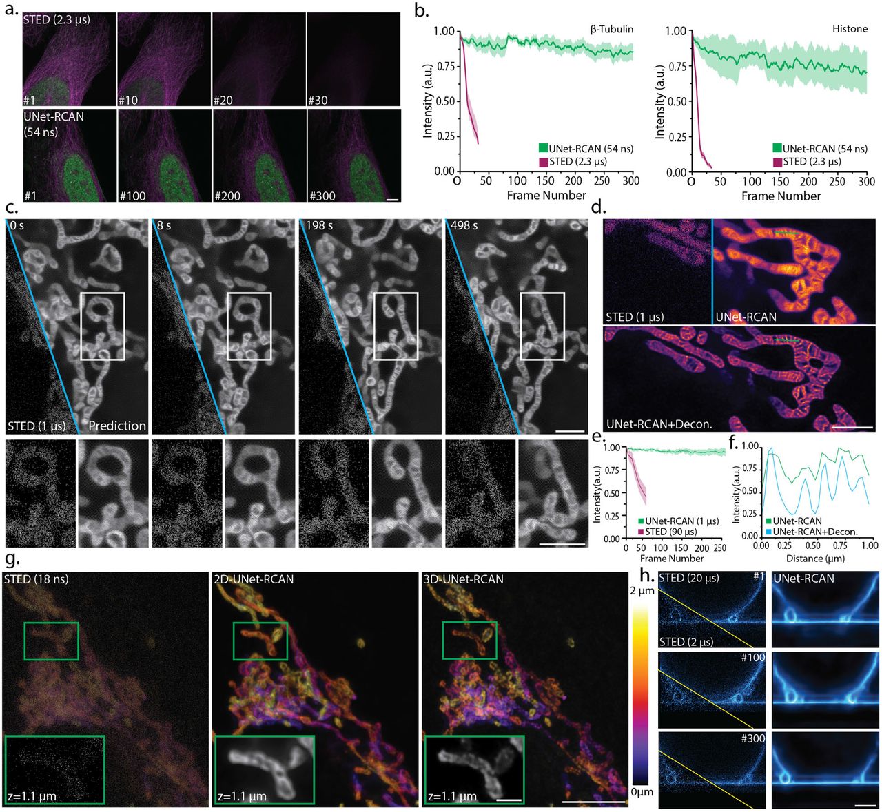 U2os Htb 96 Cells | ATCC | Bioz