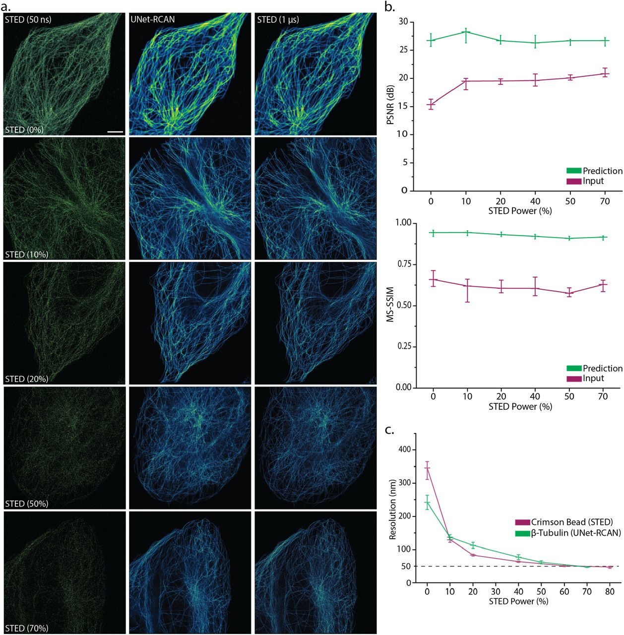 U2os Htb 96 Cells | ATCC | Bioz