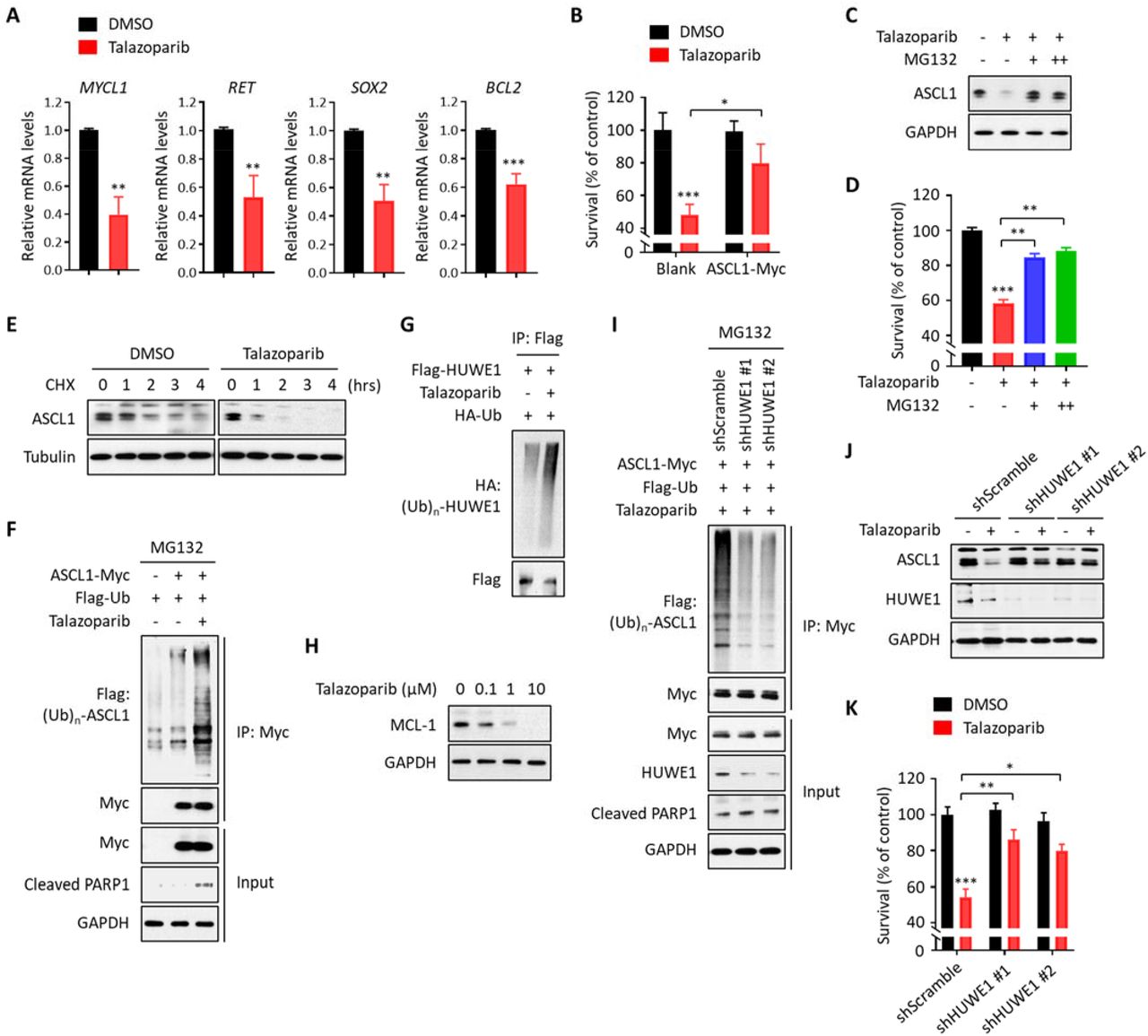 Anti Flag M2 Affinity Gel Beads | Millipore | Bioz