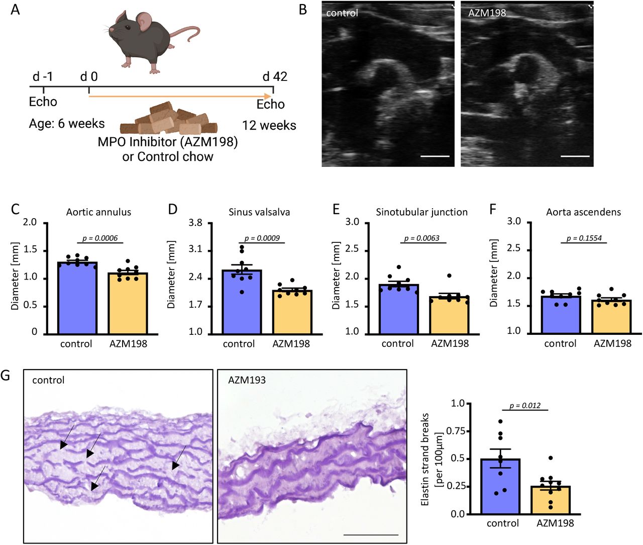 Mpo Inhibitor Azm198 | AstraZeneca ltd | Bioz
