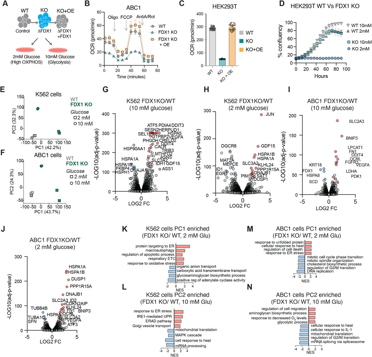 Fdx1 Cas9 Rnp | Lonza | Bioz