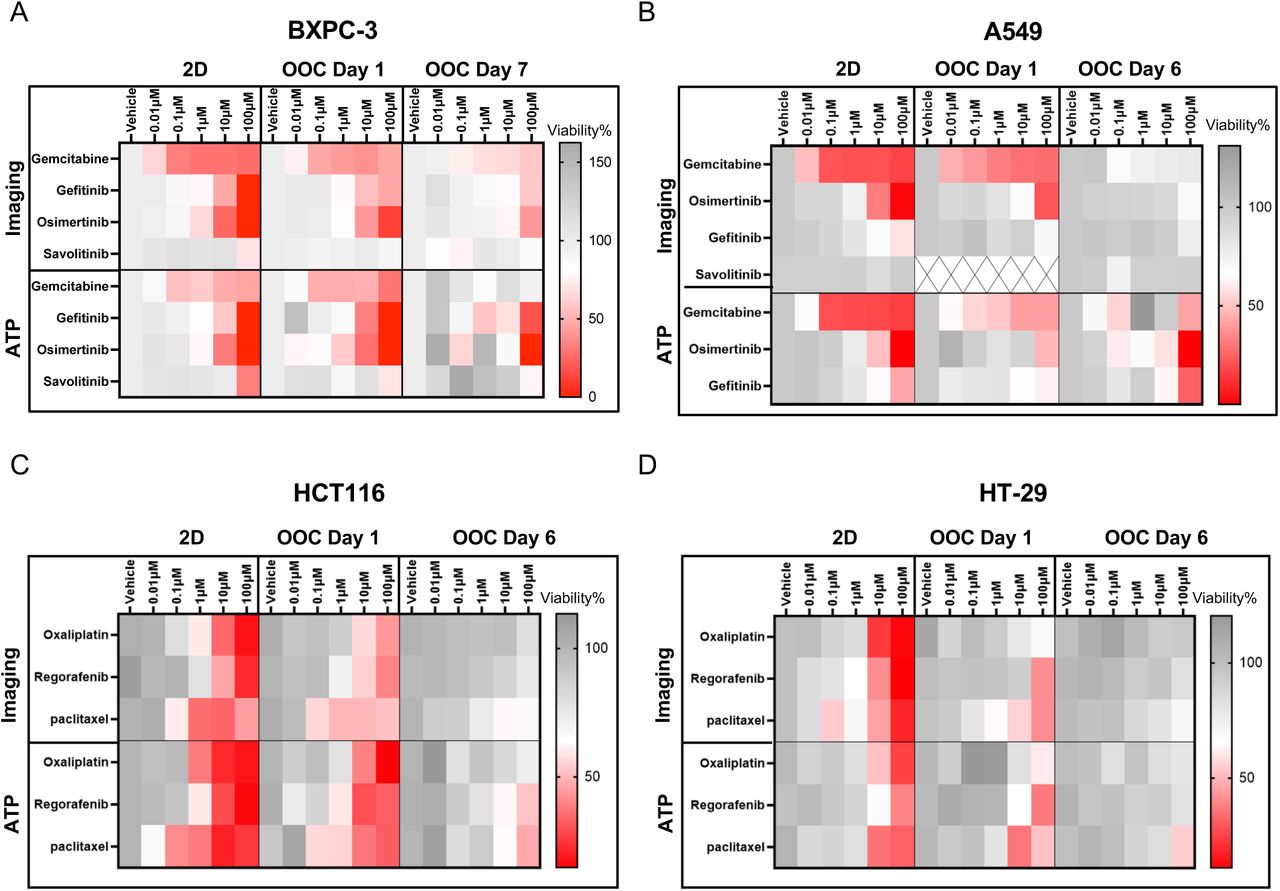Celltiter Glo 3d Reagent | Promega | Bioz