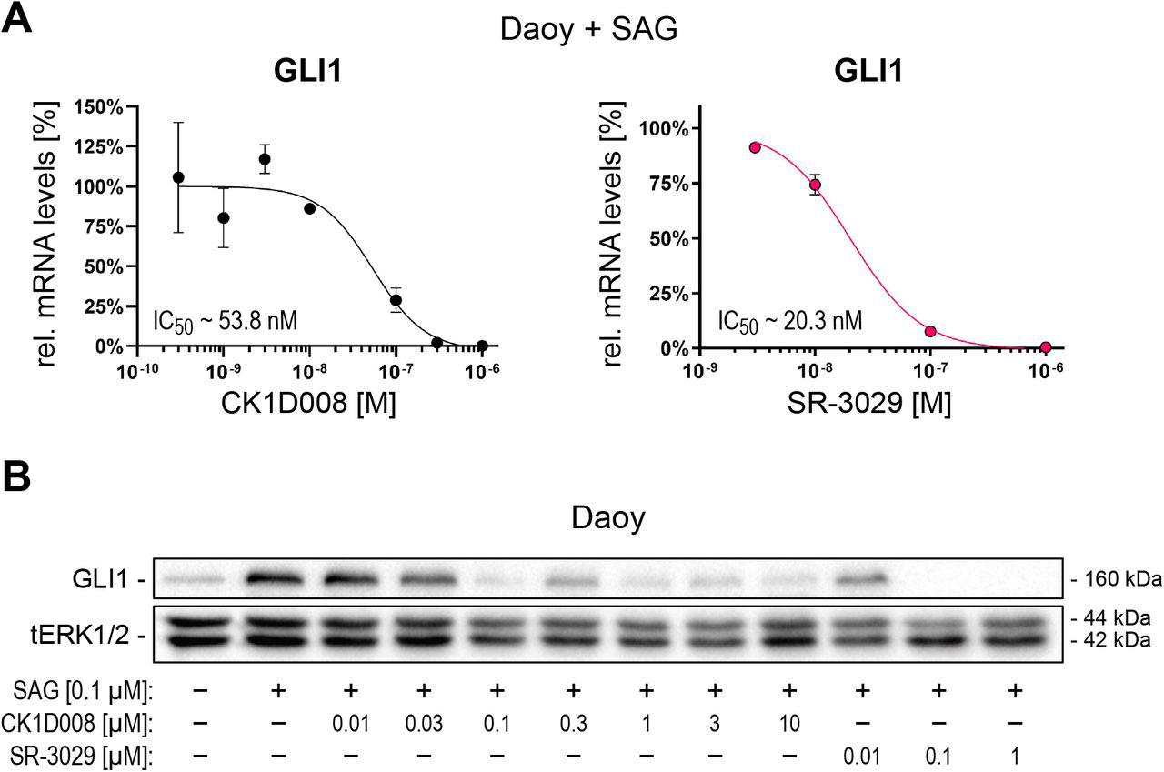 Gli1 Sgrna Targeting Sequence | Addgene inc | Bioz