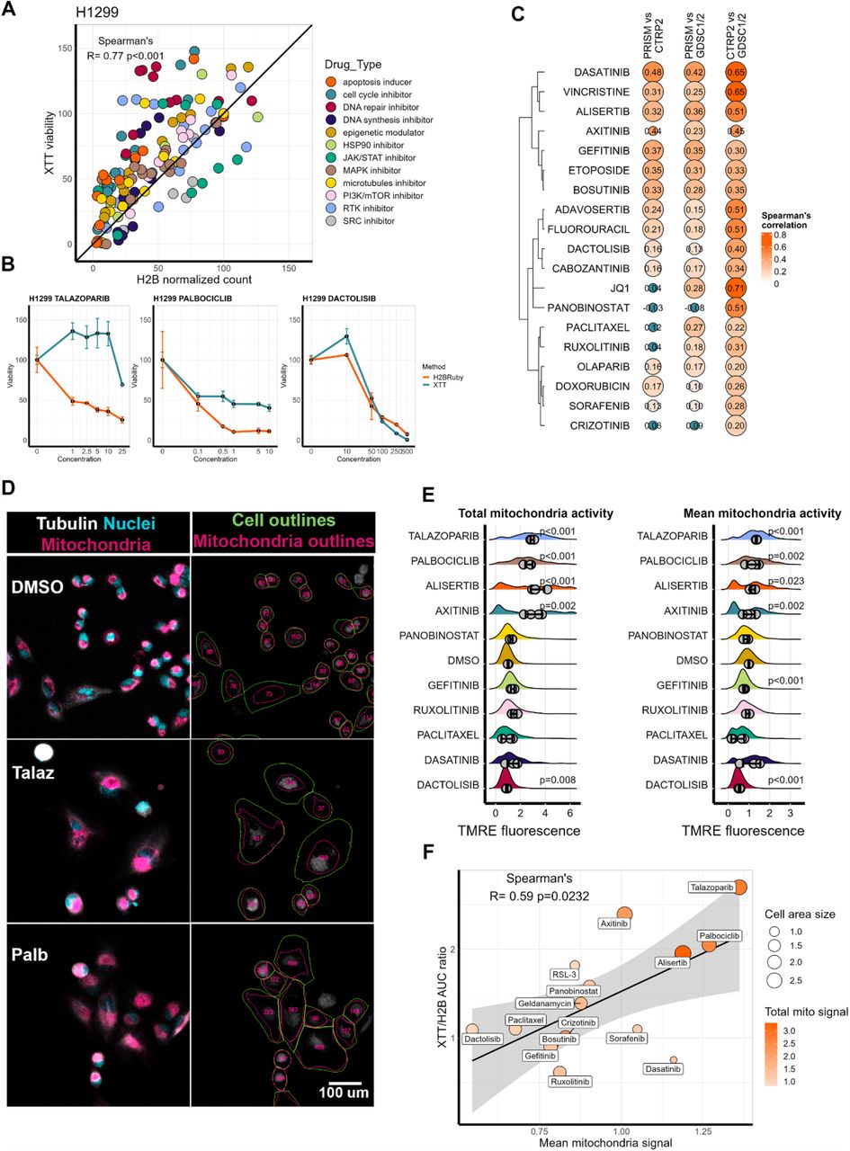 Plentipgk Hygro Dest H2b Mruby2 | Addgene inc | Bioz