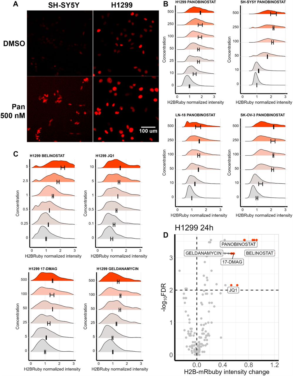 Plentipgk Hygro Dest H2b Mruby2 | Addgene inc | Bioz