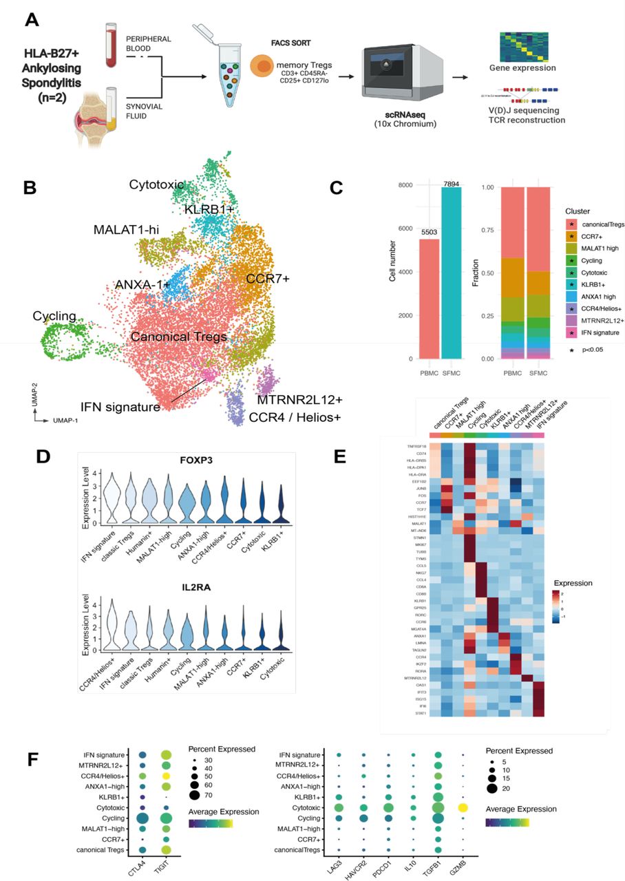 Foxp3 Tf Staining Buffer Set | Thermo Fisher | Bioz