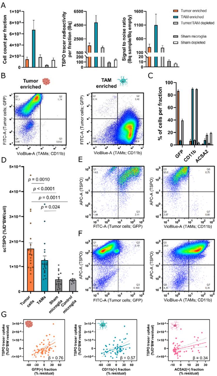 Sb28 Gfp Cells | Thermo Fisher | Bioz