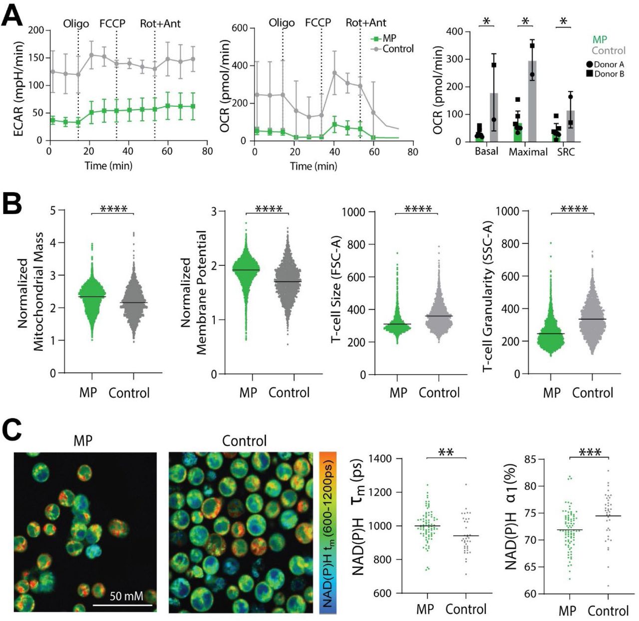 Tmre | Thermo Fisher | Bioz