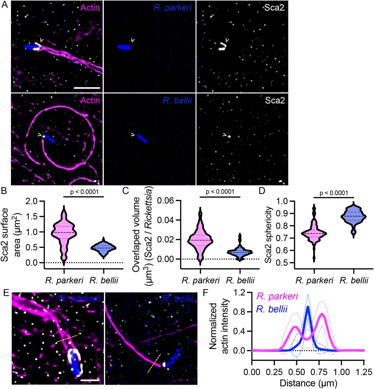Anti General | Hangzhou HuaAn Biotechnology | Bioz