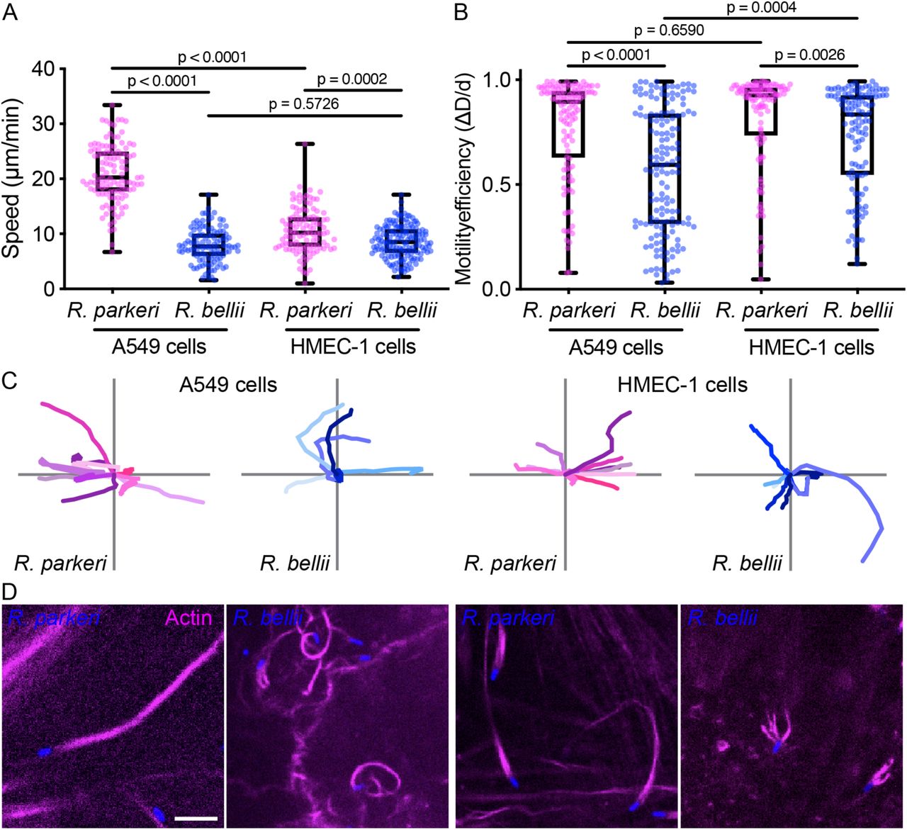 Anti General | Hangzhou HuaAn Biotechnology | Bioz