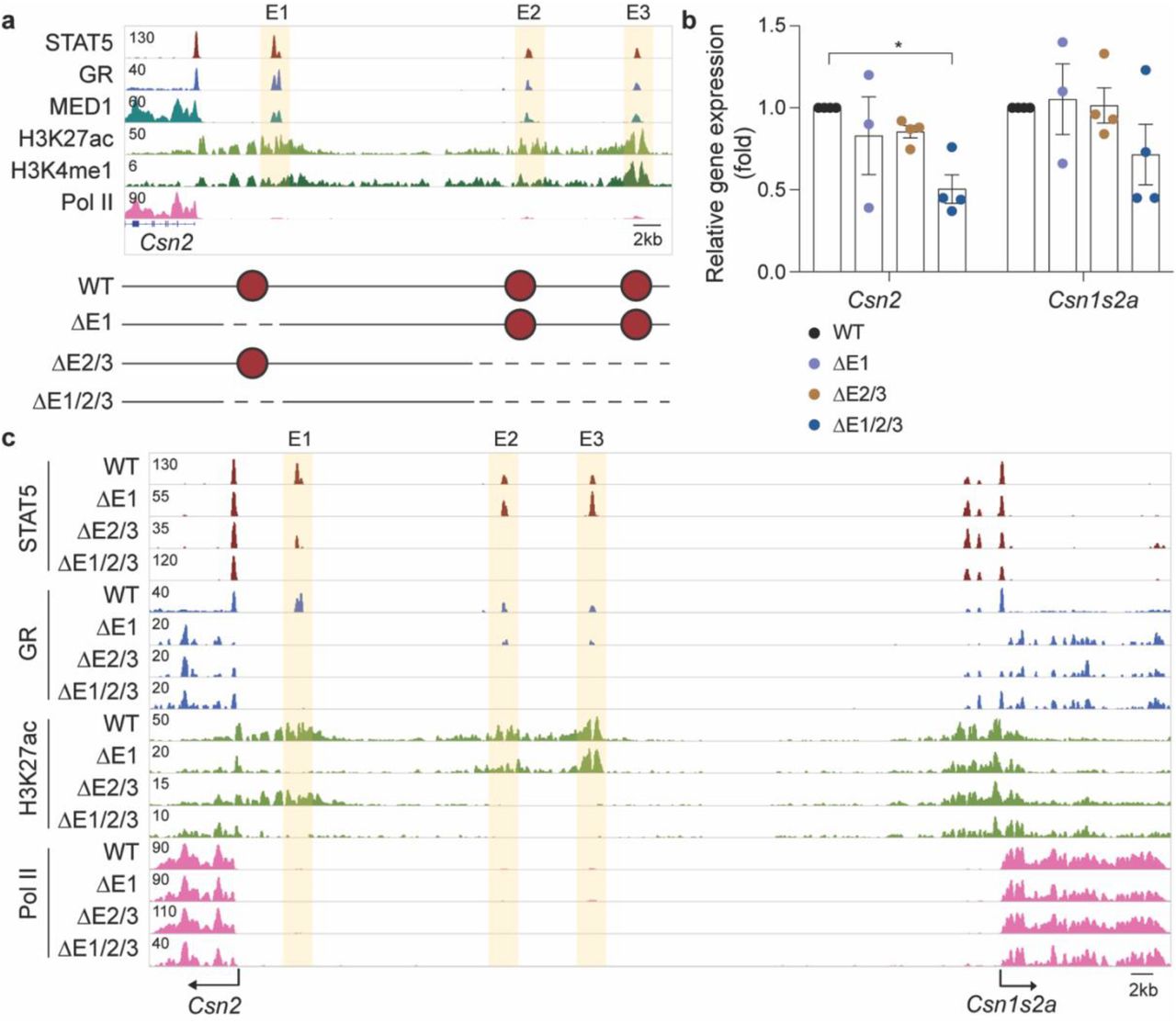 Gene Exp Gapdh Mm99999915 G1 | Thermo Fisher | Bioz