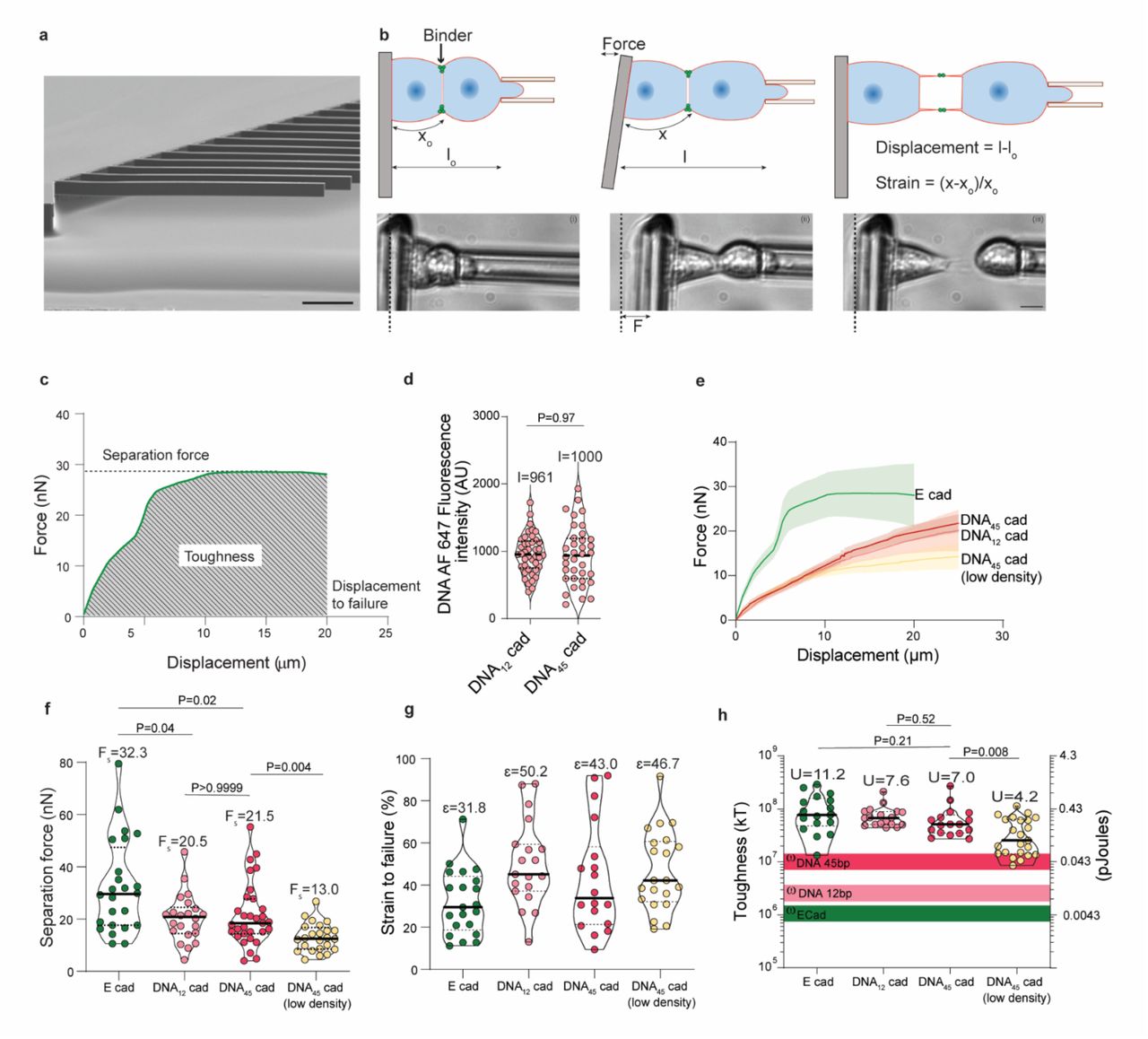Su 8 Developer | Microchem | Bioz
