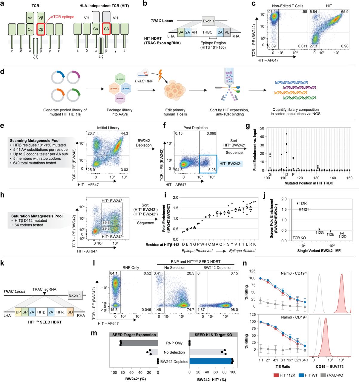Chimeric Intron | Promega | Bioz